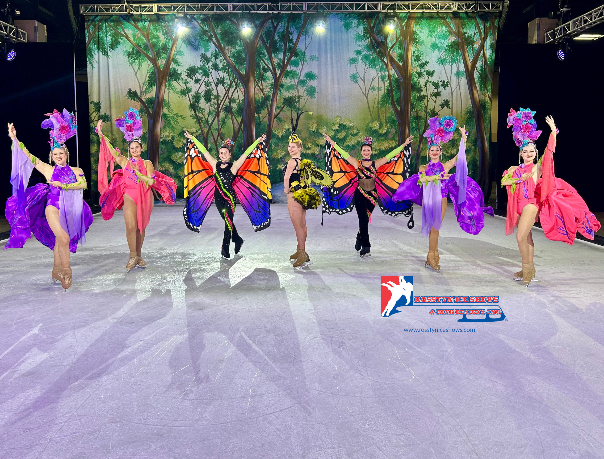 Ice Shows - Rosstyn Ice Shows & Rink Designs